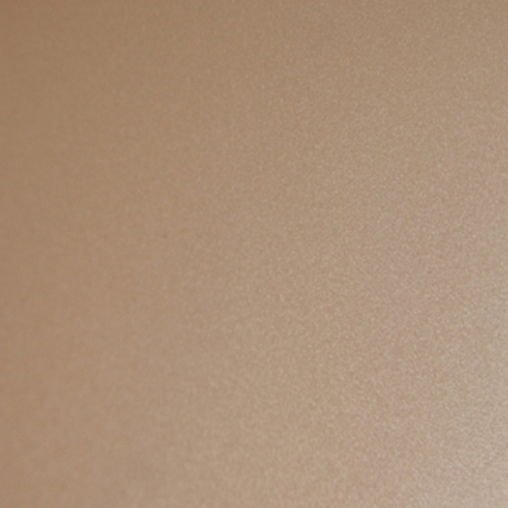 Champagne Metallic HG - Welcome to Riken U.S.A.