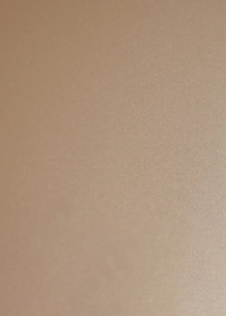 Champagne Metallic HG - Welcome to Riken U.S.A.