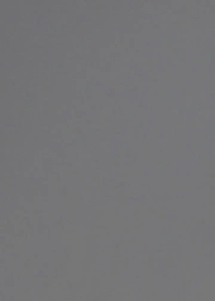 Moonlight Gray SF - Welcome to Riken U.S.A.